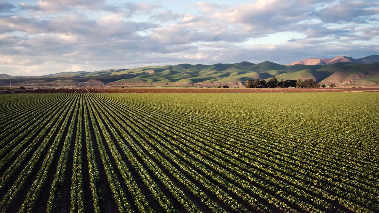 Structuring and managing an Impact Investing Fund - Telos Impact